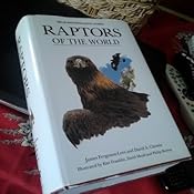 Raptors of the World (Princeton Field Guides): James Ferguson-Lees ...