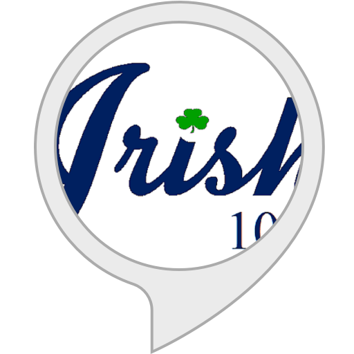 Amazon.com: Irish 101 : Alexa Skills