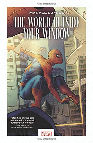 Amazon.com: Marvel Comics: The World Outside Your Window: 9781302923532 ...