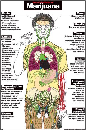 Effects Of Smoking On Brain