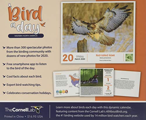 Bird a Day 2020 Interactive Daily Calendar Western North - Want It All