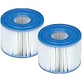 Amazon.com : INTEX Spa Pump Filter Cartridge : Home & Kitchen