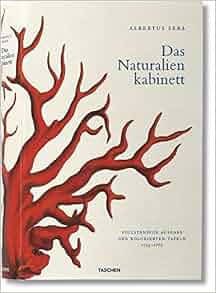 Albertus Seba. Cabinet of Natural Curiosities (Jumbo): Albertus Seba ...