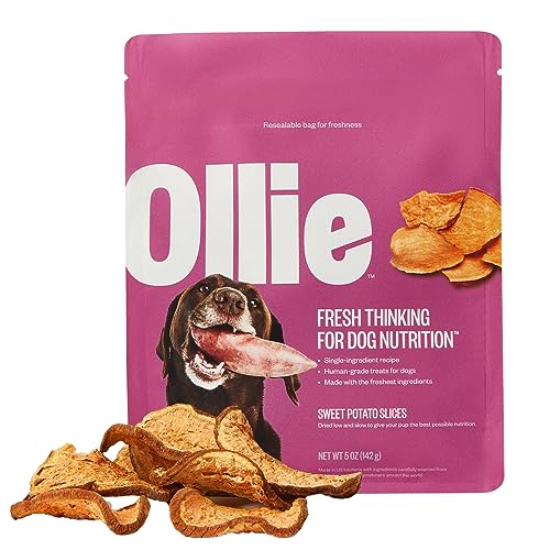 Ollie Dog Food Review 2024 - Dogtime