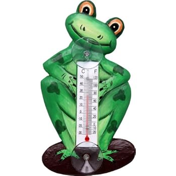 Amazon.com : Springfield 90731 Frog Tube Thermometer : Outdoor ...