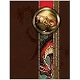 Dungeons and Dragons Core Rulebook Gift Set, 4th Edition: Wizards RPG Team: 9780786950638 ...