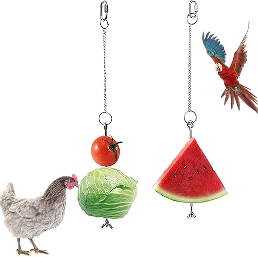ASOCEA 2 Pack Bird Food Holder Pet Parrot Treat Skewer Chicken ...