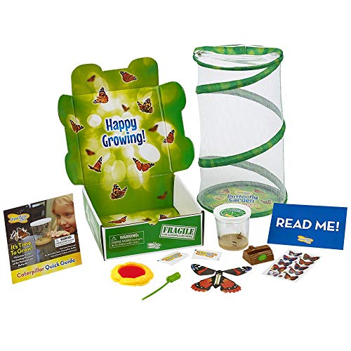 Insect Lore Deluxe Butterfly Garden Gift Set with Live Cup of ...