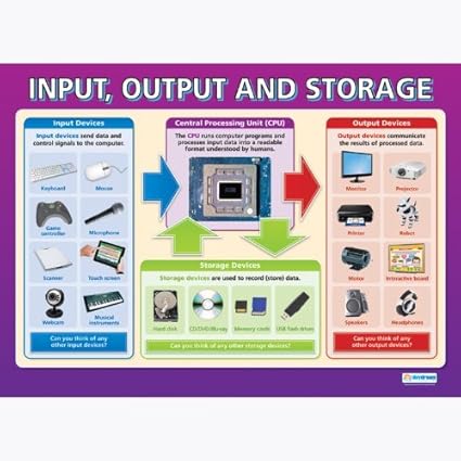 Input, Storage and Output Devices |ICT Educational Wall Chart/Poster in ...