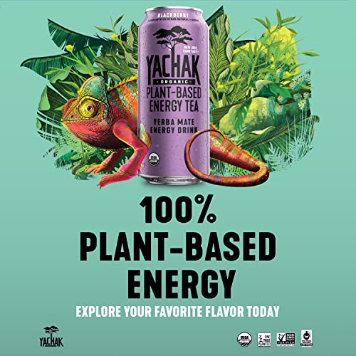 Yachak Yerba Mate Drink, Blackberry, 16 Fl Oz Cans, Pack of 12 | Pricepulse