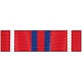 Amazon.com: MEDALS OF AMERICA EST. 1976 Air Force NCO PME Graduate ...