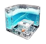 Ant's Life Studio - Virtual Interactive Ant Farm