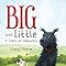 Amazon.com: Big and Little: A Story of Opposites: 9780823440214 ...