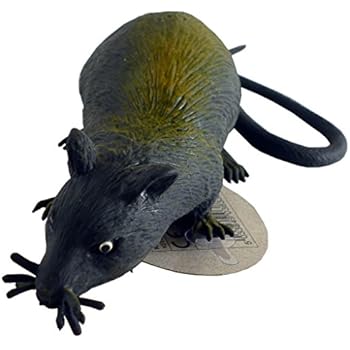 Amazon.com: 13cm Rubber Stretchy Rat With Long Tail - Halloween ...