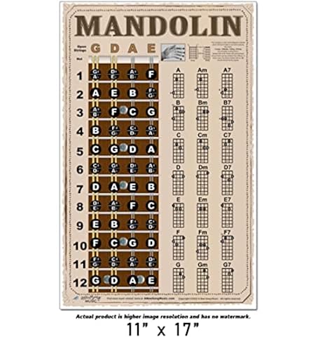 Mandola Chord Fretboard Instructional Wall Chart Poster