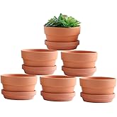 Amazon.com: Yishang 5 Inch shallow terracotta clay pots with Drain Hole ...