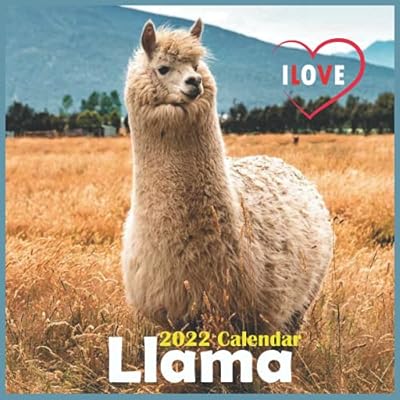Ilove llama Calendar 2022: Mini Calendar llama ,12 Nepal | Ubuy
