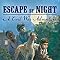 Escape by Night: A Civil War Adventure: Myers, Laurie, Bates, Amy June ...