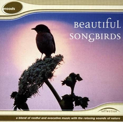 Beautiful Songbirds : Various: Amazon.fr: Musique