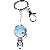 Amazon.com: RE Zero 48022 Keychain, One Size, Multicolor: Toys & Games
