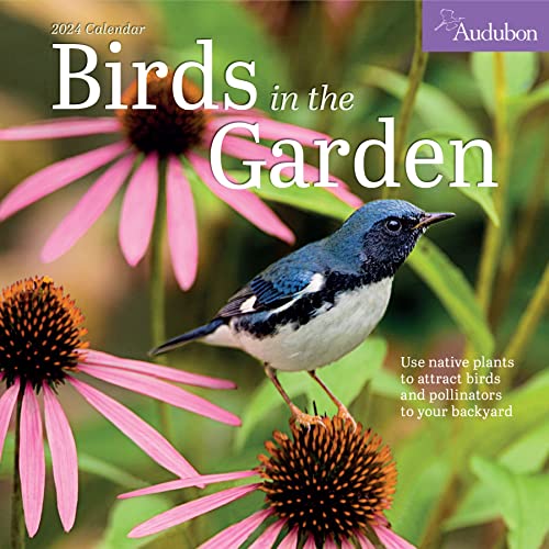 Audubon Birds in the Garden Wall Calendar 2024: Use Native Plants to ...