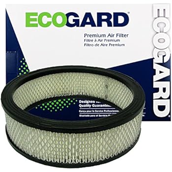 Amazon.com: ACDelco A773C Professional Air Filter: Automotive