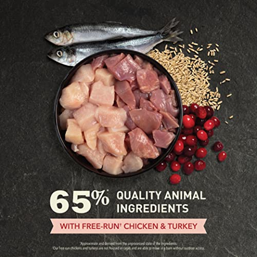 Acana Dry Cat Food for Indoor Cats, Indoor Entrée, Chicken, Turkey, Whole Herring, and Rabbit ...