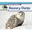 Snowy Owls (Arctic Animals): Julie Murray: 9781617838019: Amazon.com: Books