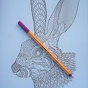 Doodle Artist - Rabbits & Hares: A colouring book for grown ups: Amazon ...