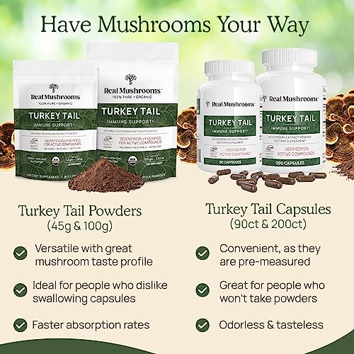 Real Turkey Tail Powder - Organic Mushroom Supplement with Potent ...