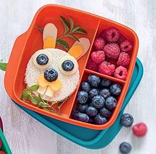 Tupperware Divided Square Lunch Box - Orange price in Egypt | Amazon ...