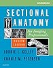 Workbook for Sectional Anatomy for Imaging Professionals in Saudi ...
