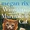 Winston and the Marmalade Cat: Amazon.co.uk: Megan Rix: 9780141385693 ...