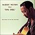 Muddy Waters - Folk Singer - Amazon.com Music
