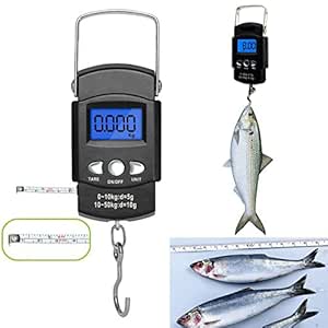 Báscula de pesaje portátil de acero inoxidable para pesca, 50 kg, peso ...