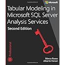 Tabular Modeling in Microsoft SQL Server Analysis Services (2nd Edition) (Developer Reference ...