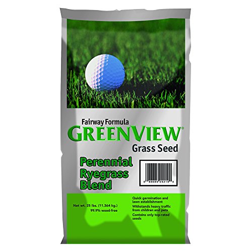 Fairway Grass