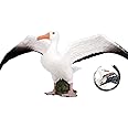 Amazon.com: Flormoon Albatross Figure Realistic Animal Figurines Early ...