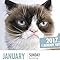 Amazon - Grumpy Cat Year-In-A-Box Calendar (2017): Year-In-A-Box ...
