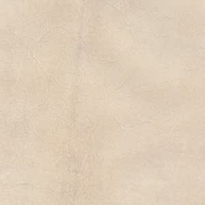 Amazon.com: Natural Animal Skin Parchment- Calf 8x10 Inch Individual Sheet