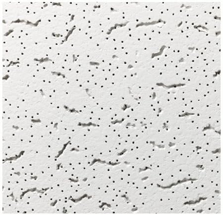 Usg Interiors 280 2x4 Fifth Ave Ceil Tile Quantity 8: Amazon.ca: Home ...