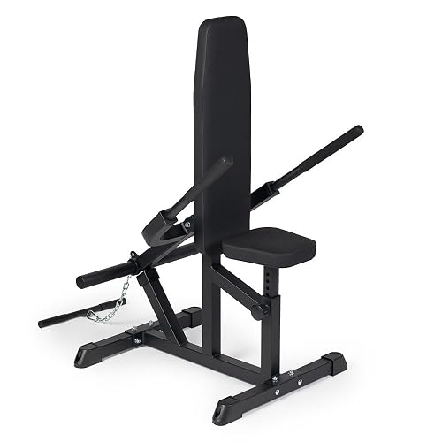 Titan Fitness Seated Dip Machine, Plate Loaded Dip Machine Rated 200 LB ...