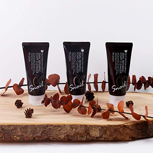 MIZON Snail Repairing Foam Cleanser, Korean Snail Face Wash, Mild and ...