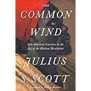 Amazon.com: The Common Wind: Afro-American Currents in the Age of the ...