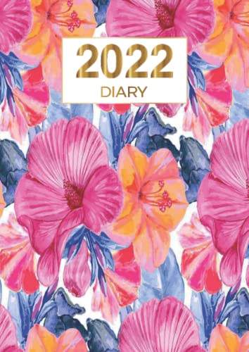 buy-diary-2022-a4-one-page-per-day-to-view-dated-2022-daily-diary