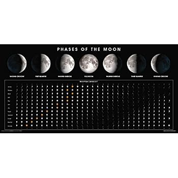 Amazon.com: Moon Phases - Classroom Science Poster: Prints: Posters ...