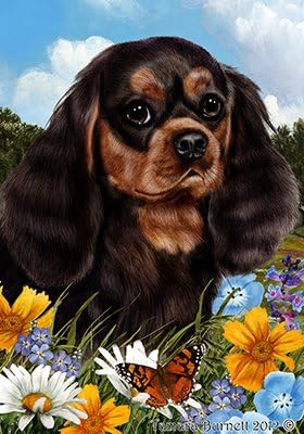 Best of Breed Cavalier King Charles Black/Tan – Summer Flowers Garden ...