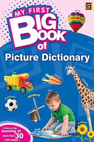 Buy MY FIRST BIG BOOK OF PICTURE DICTIONARY Book Online at Low Prices ...