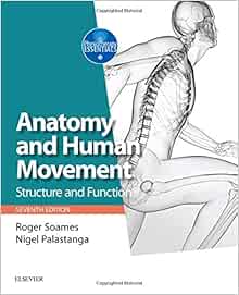 Anatomy and Human Movement: Structure and function (Physiotherapy ...