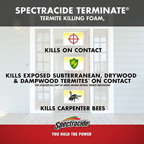 Spectracide Terminate Termite Killing Foam2, Aerosol, 16-ounce, 12-pack ...